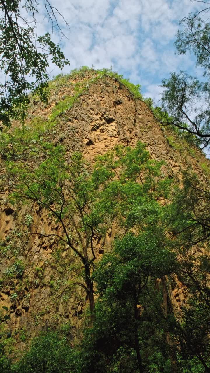 Majestic rock and tree canopy under a blue sky - Free Stock Video