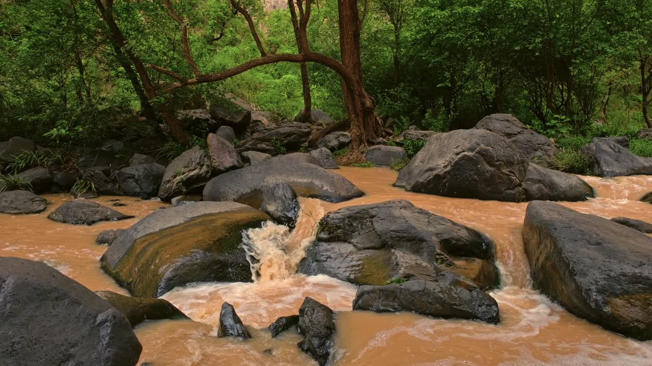 Muddy stream flowing through a rocky forest scene - Free Stock Video