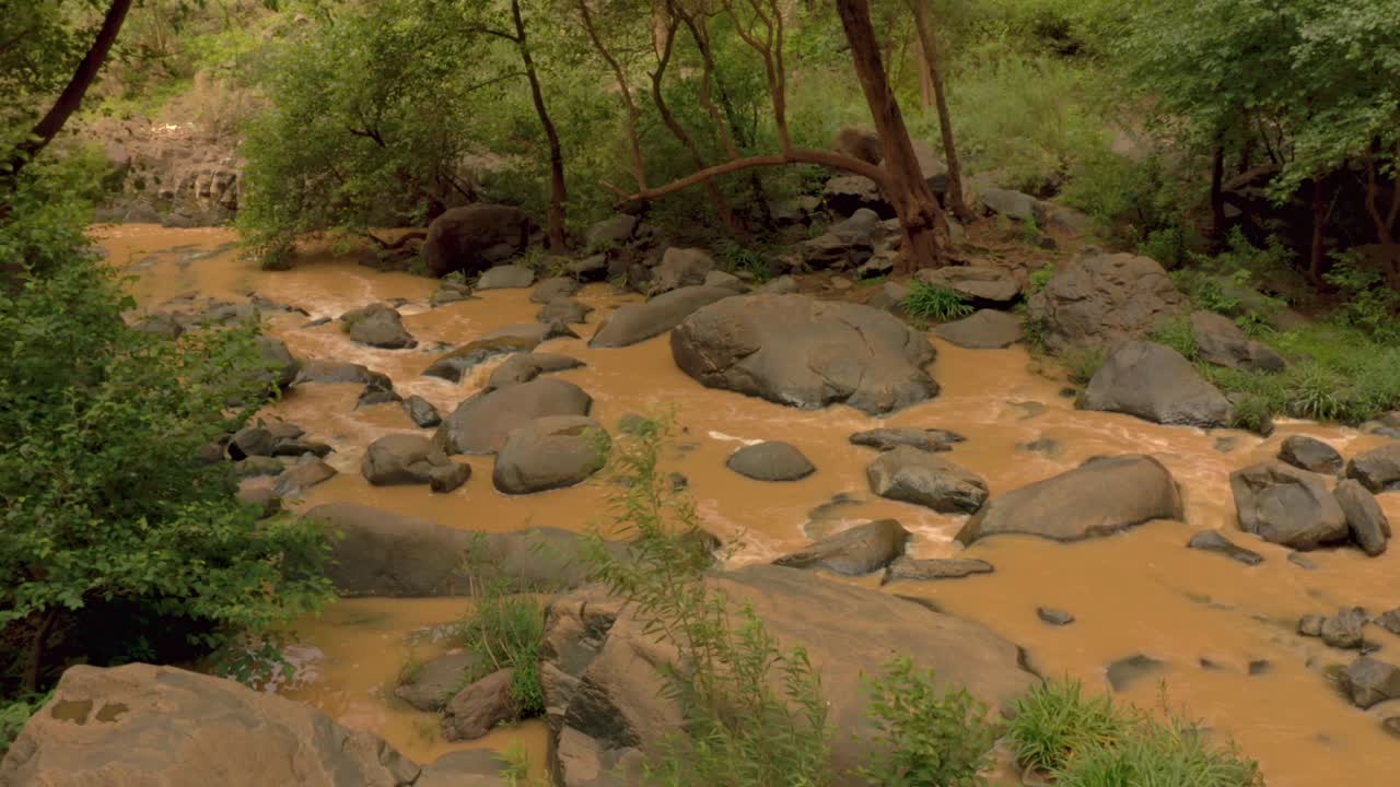 Muddy stream flowing through a lush forest. - Free Stock Video