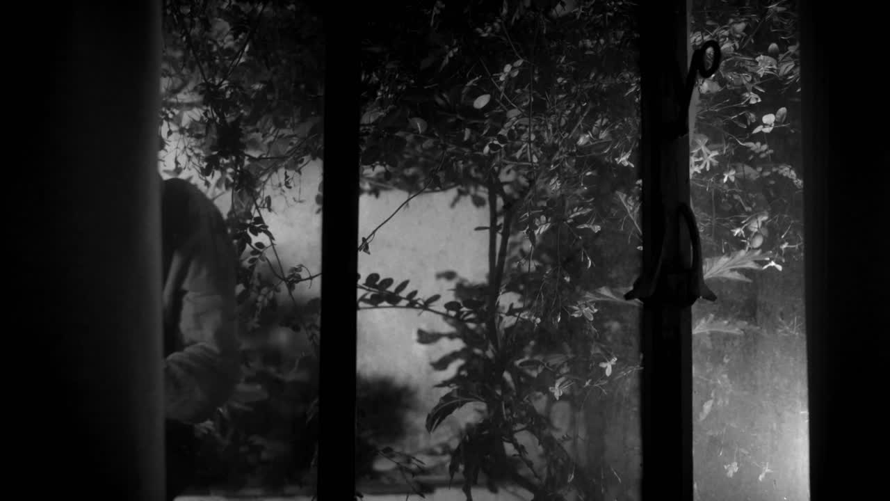 Shadowy zombie peer through window at night - Free Stock Video