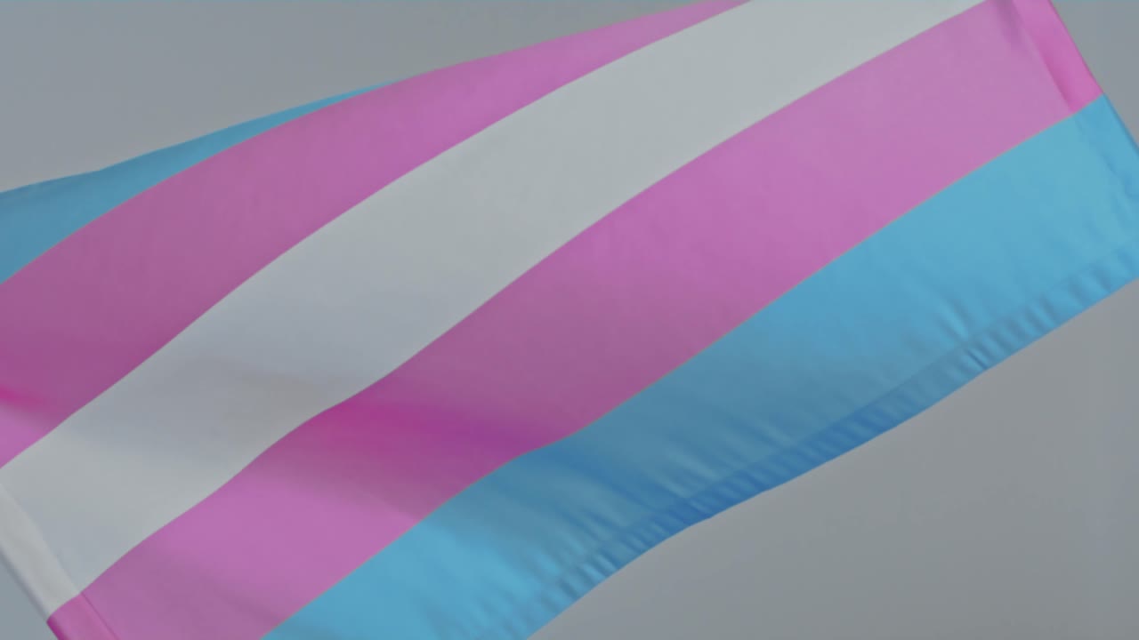 Transgender pride flag waving over a plain grwy backdrop - Free Stock Video