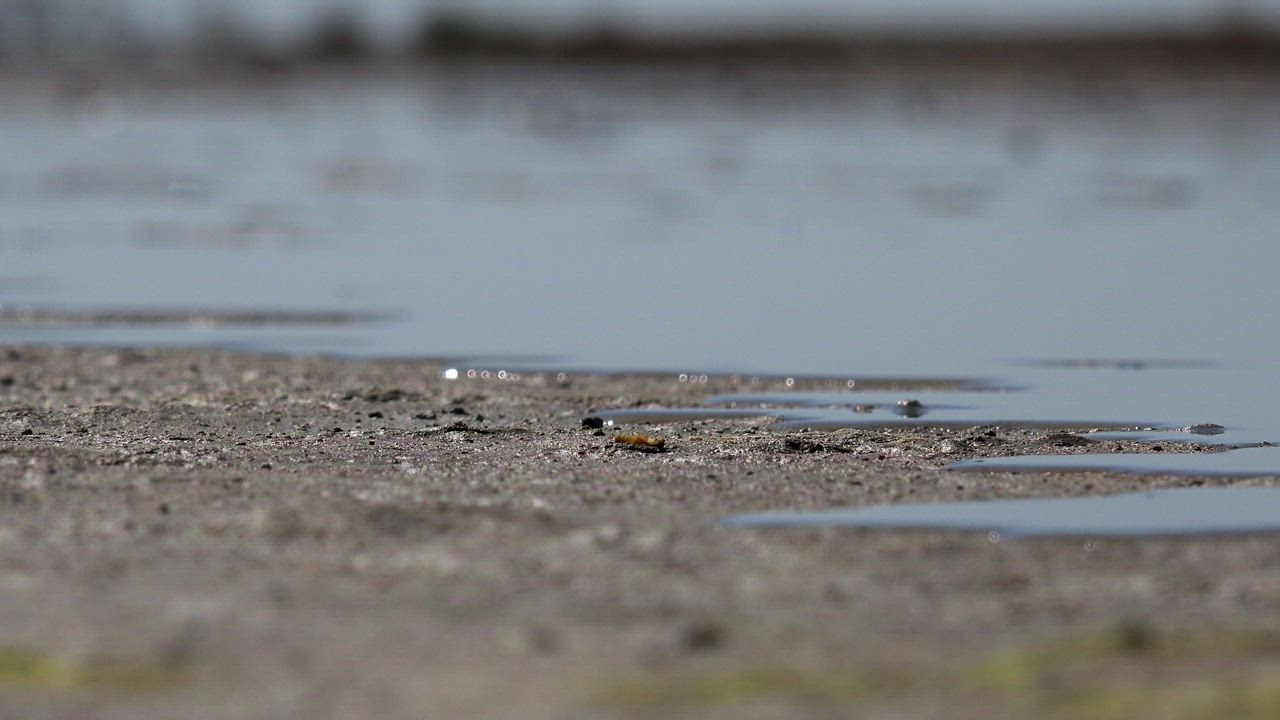 Water rising in the ground - Free Stock Video