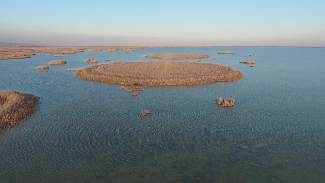 Islands of reed scattered in the ocean - Free Stock Video