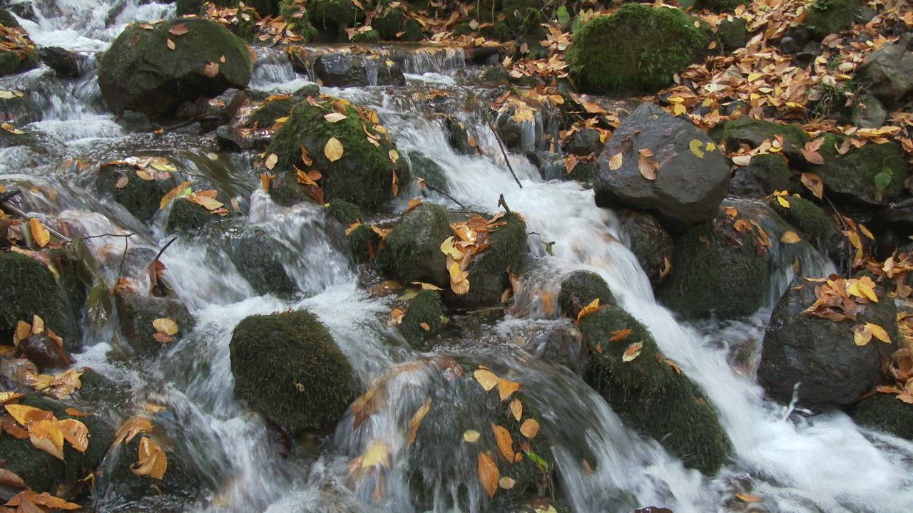 Water running through stream rocks and leaves - Free Stock Video