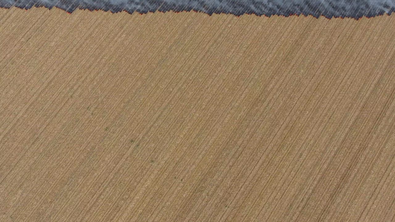 Aerial view of burning crops - Free Stock Video