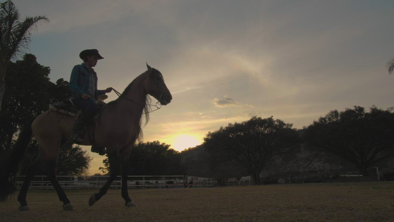 A rancher riding a horse at sunset - Free Stock Video