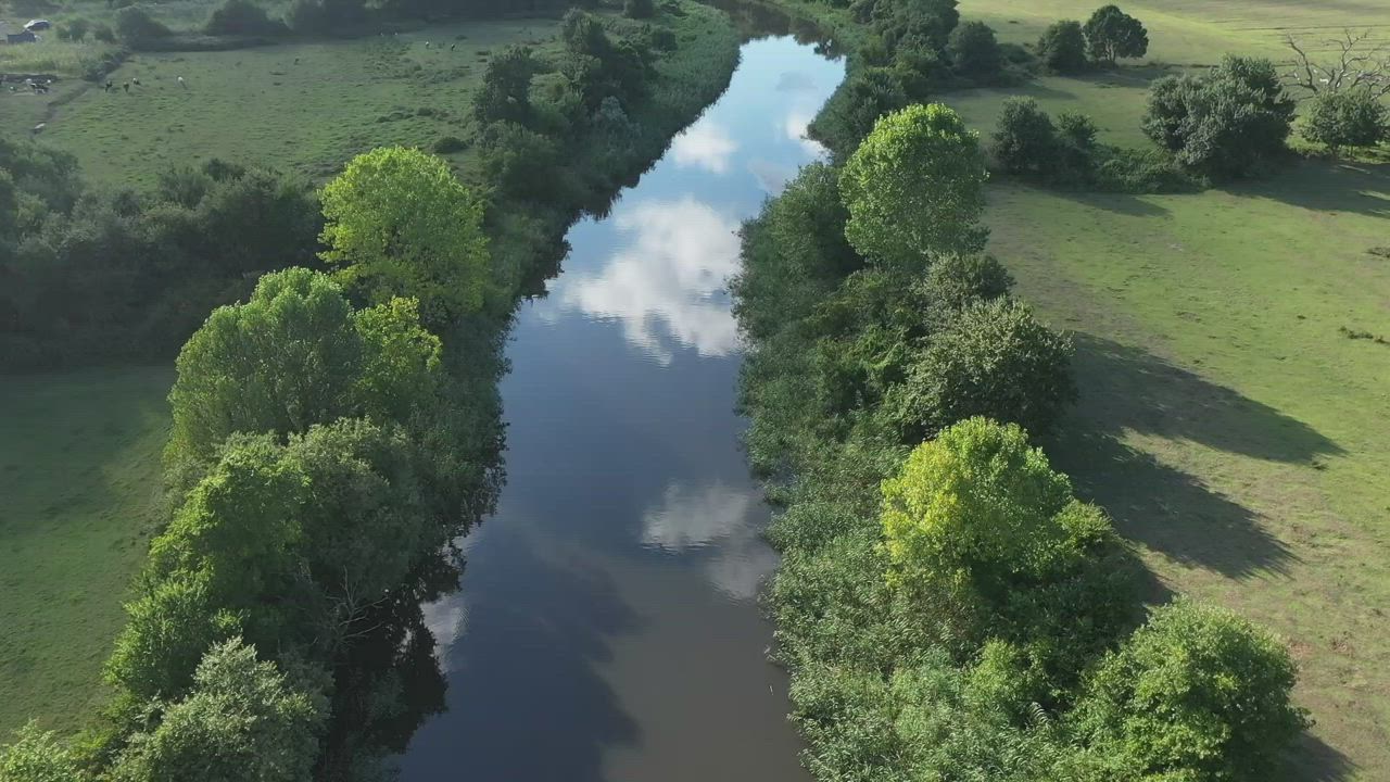 Dancing on the river bank - Free Stock Video