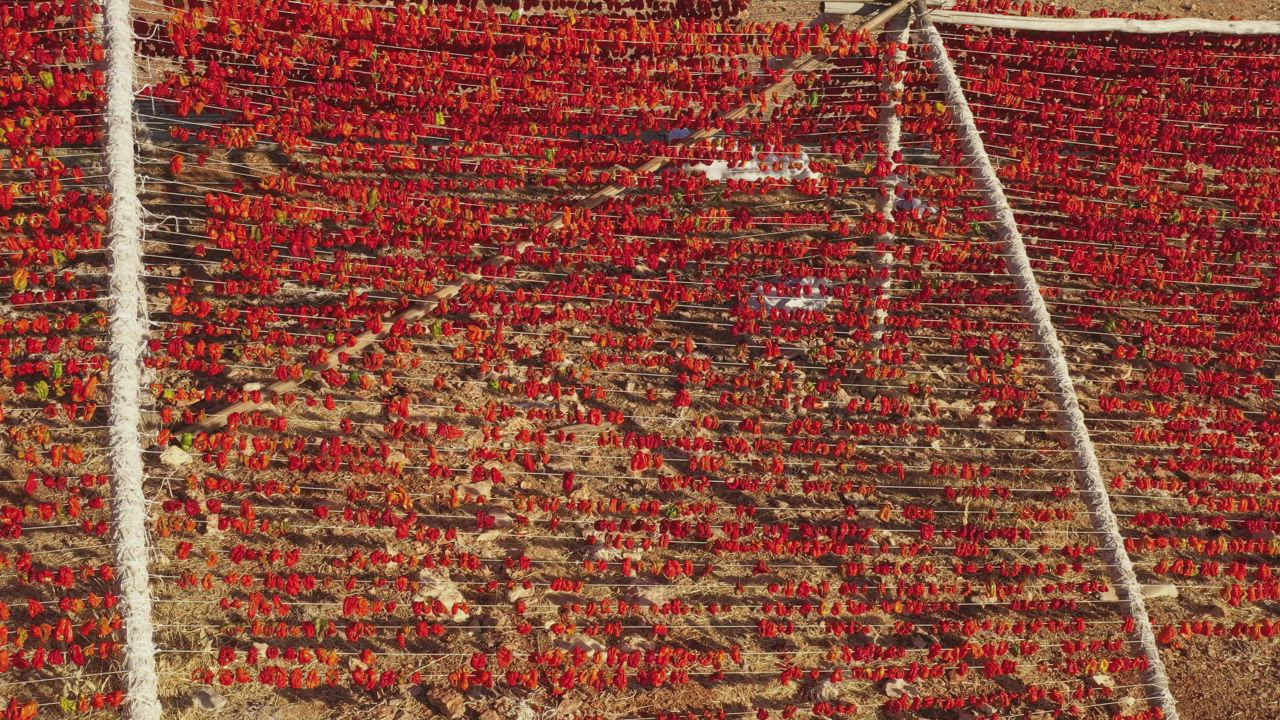 Pepper crops drying - Free Stock Video