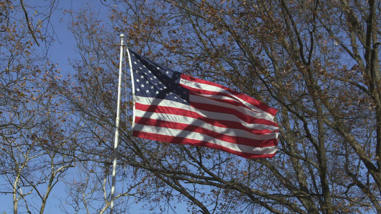 Flag between trees - Free Stock Video