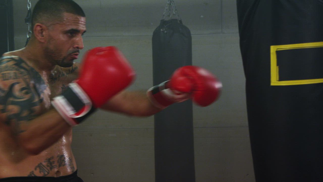 Training for a fight - Free Stock Video