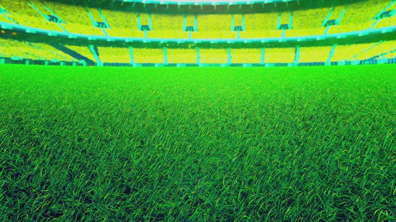 Cricket court in a stadium - Free Stock Video