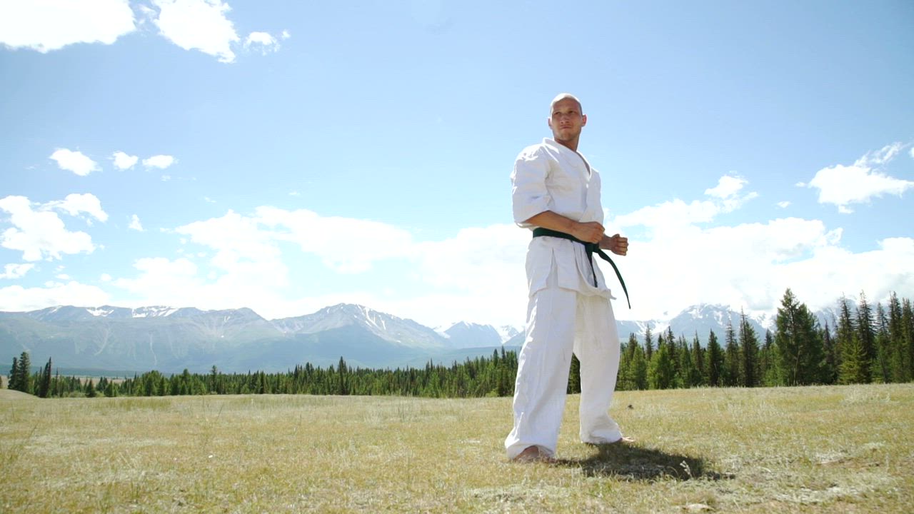 Man demonstrates karate kick in outdoor landscape - Free Stock Video