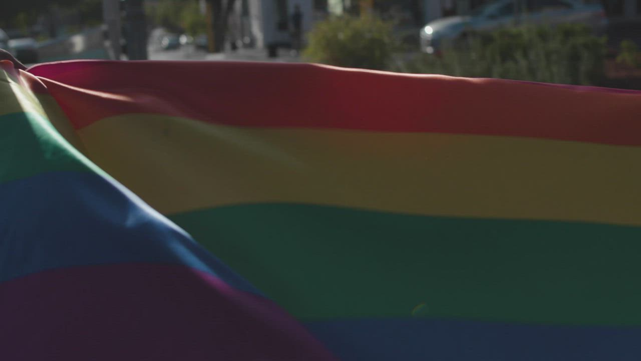 Two men holding a rainbow flag - Free Stock Video