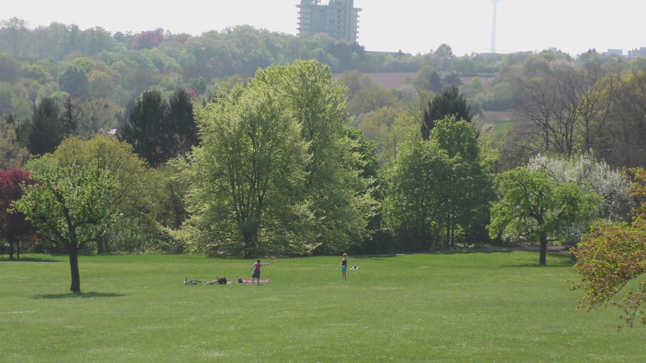 Children playing in the park, seen from afar - Free Stock Video