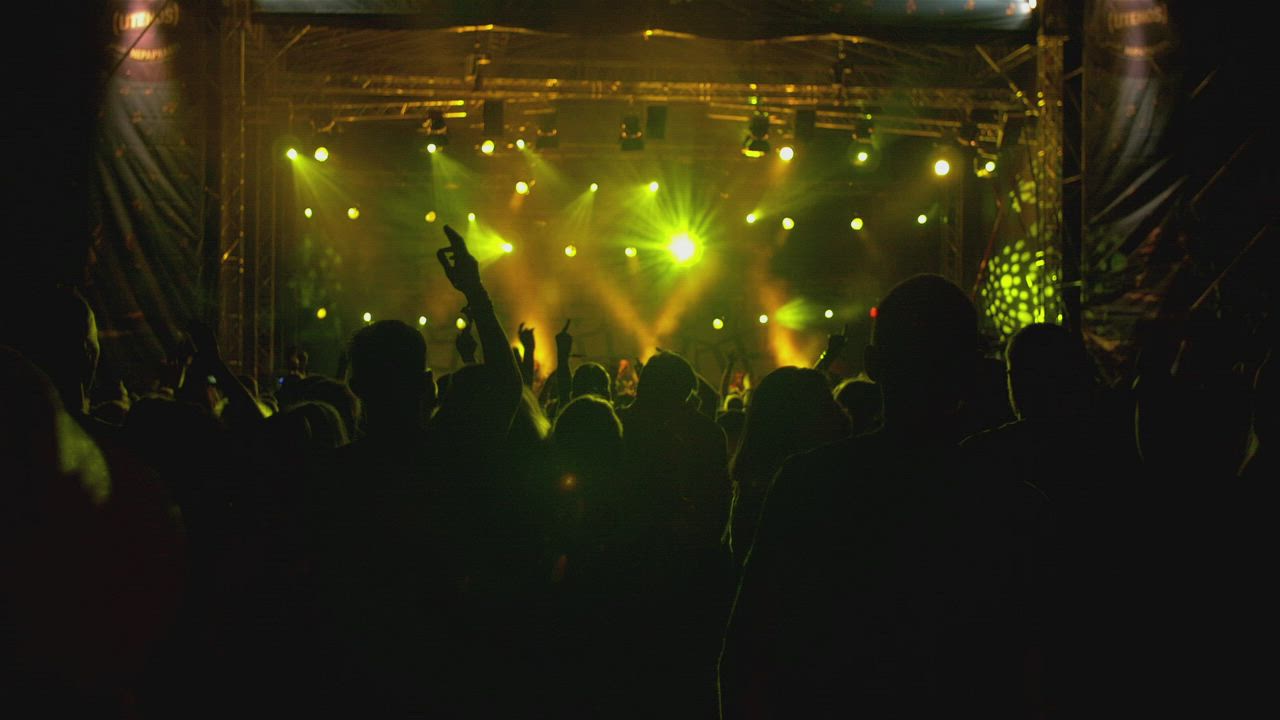 Festival crowd at night - Free Stock Video