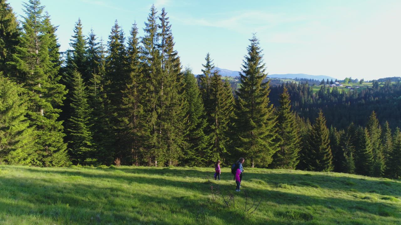 Family taking a walk in the meadow next to the forest - Free Stock Video