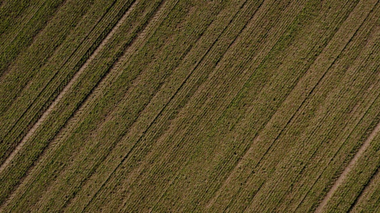 Farmland from above - Free Stock Video