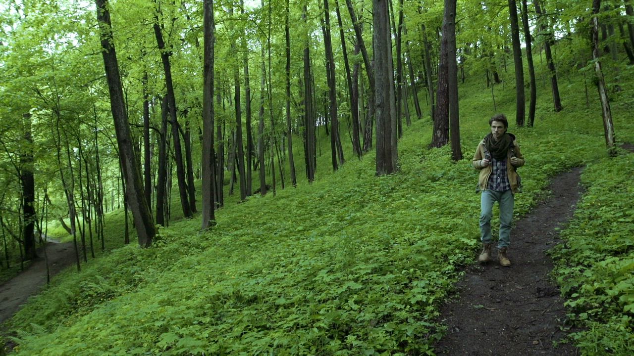 Man walking through the path in a green forest - Free Stock Video