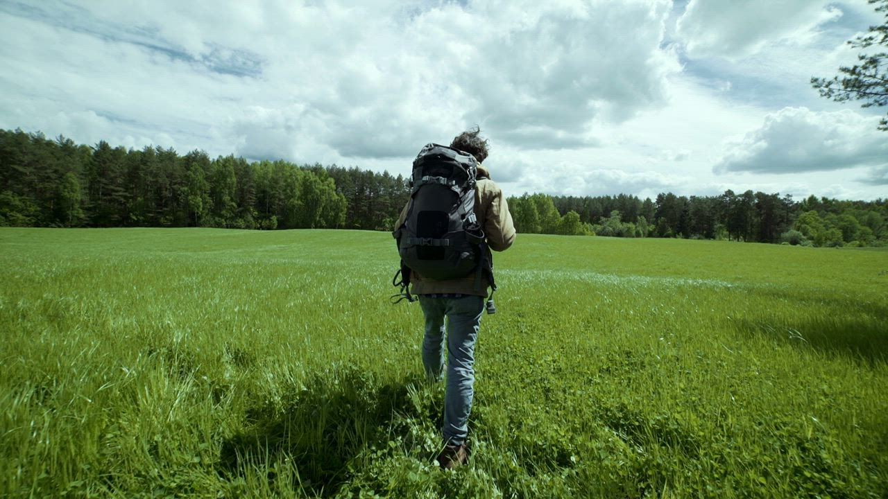 Explorer walking in a green meadow - Free Stock Video