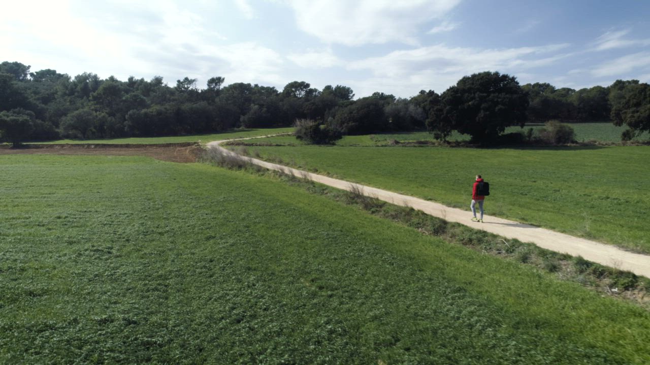 Man hiking on a rural path - Free Stock Video