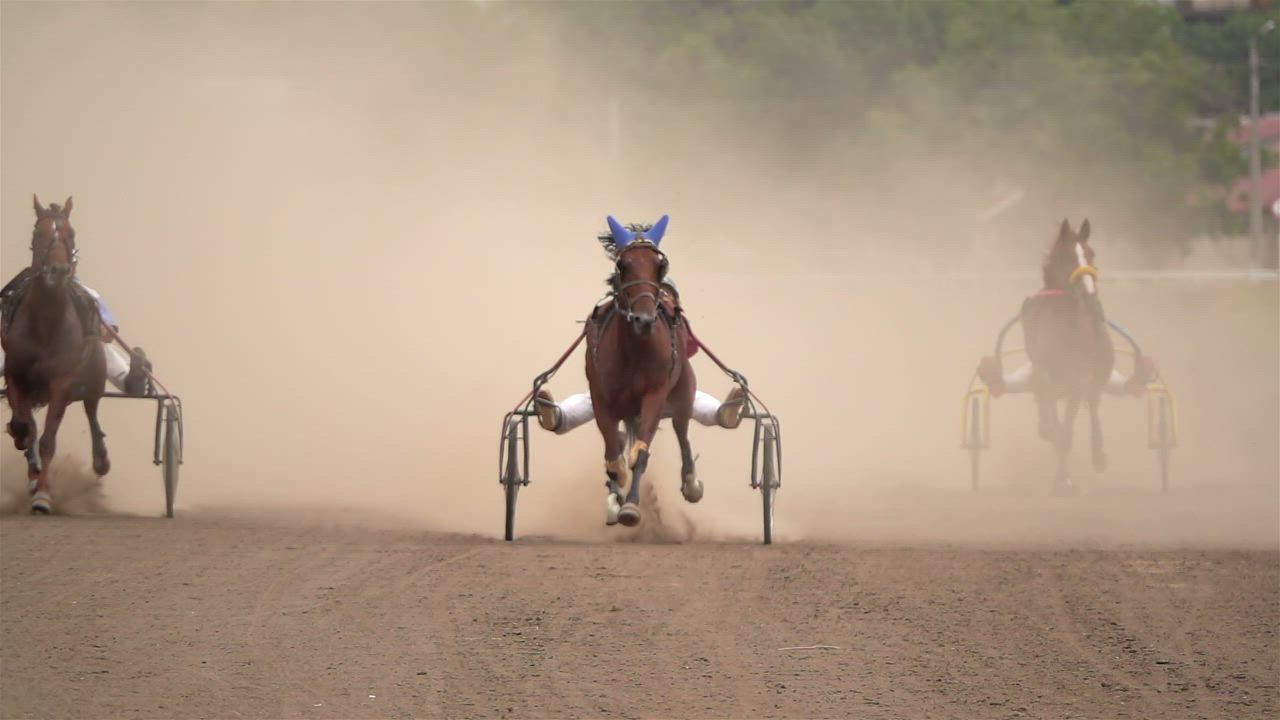 Horse race on a dirt road - Free Stock Video