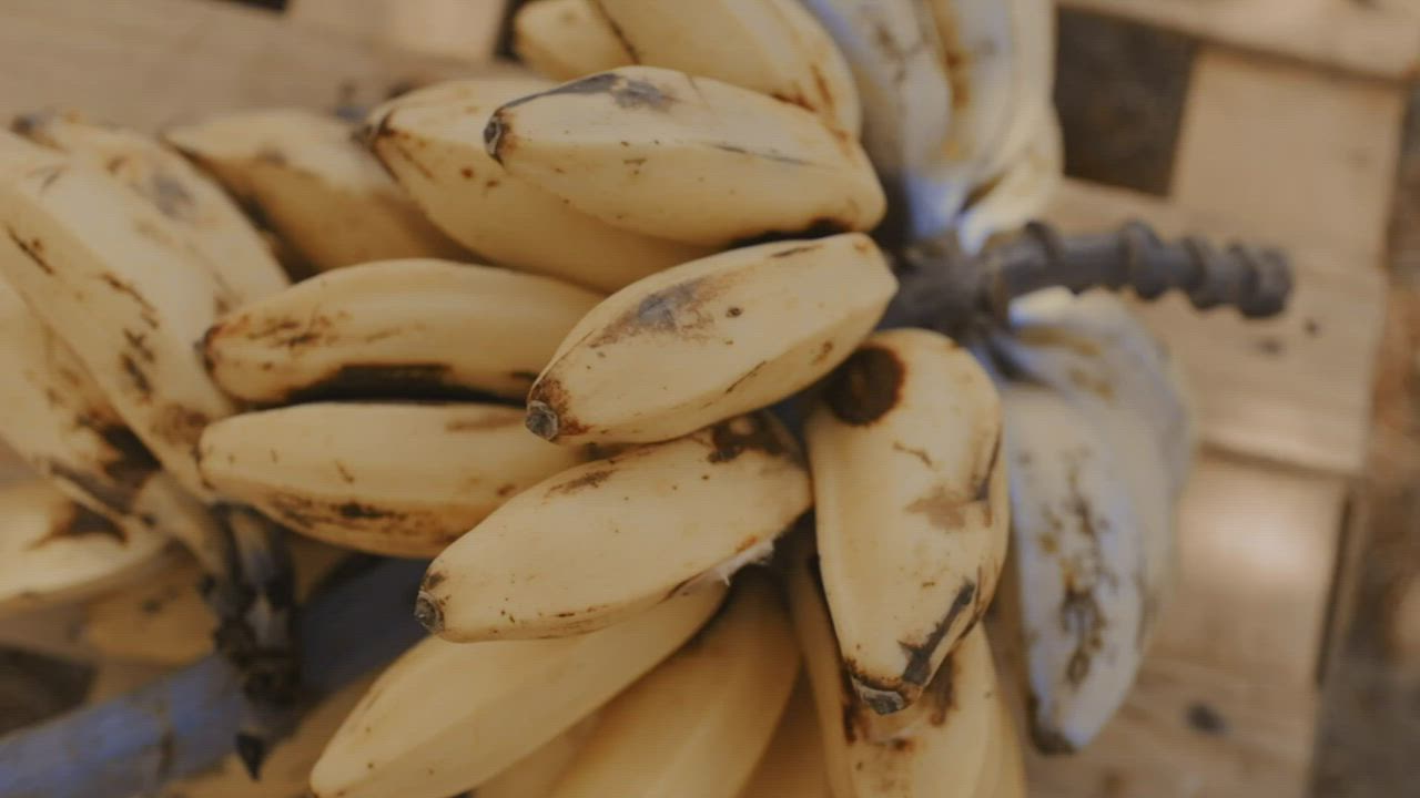 Cluster of small bananas, closeup - Free Stock Video