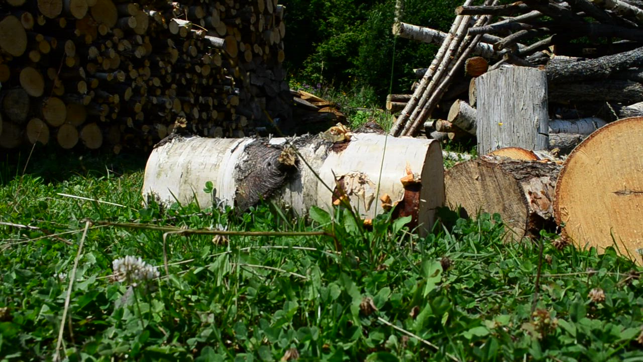 Large chunks of fire wood - Free Stock Video