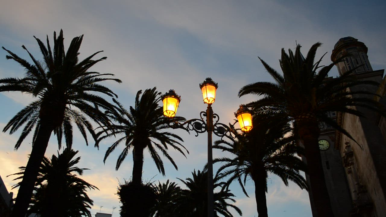 Lamps on a cool night - Free Stock Video