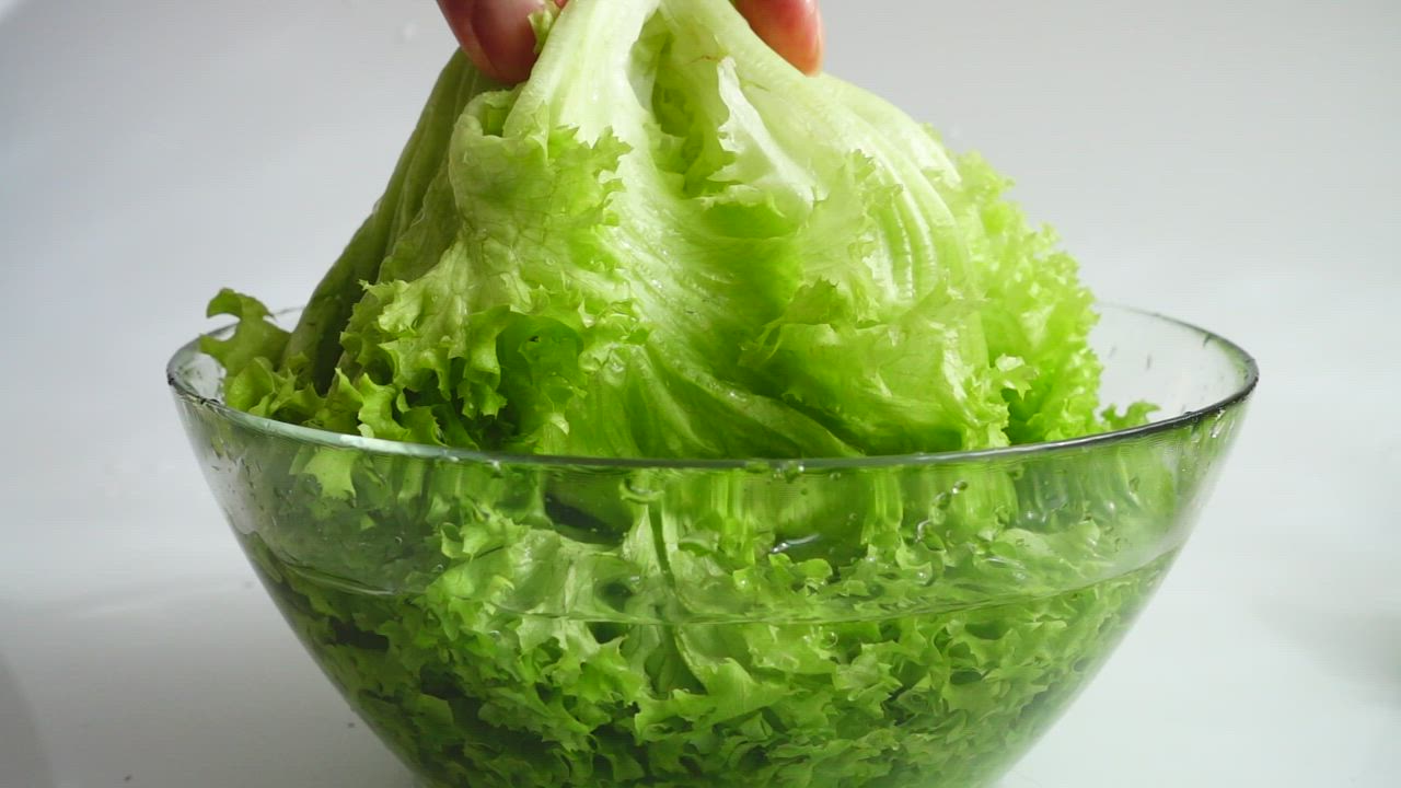 Washing lettuce before making a salad - Free Stock Video