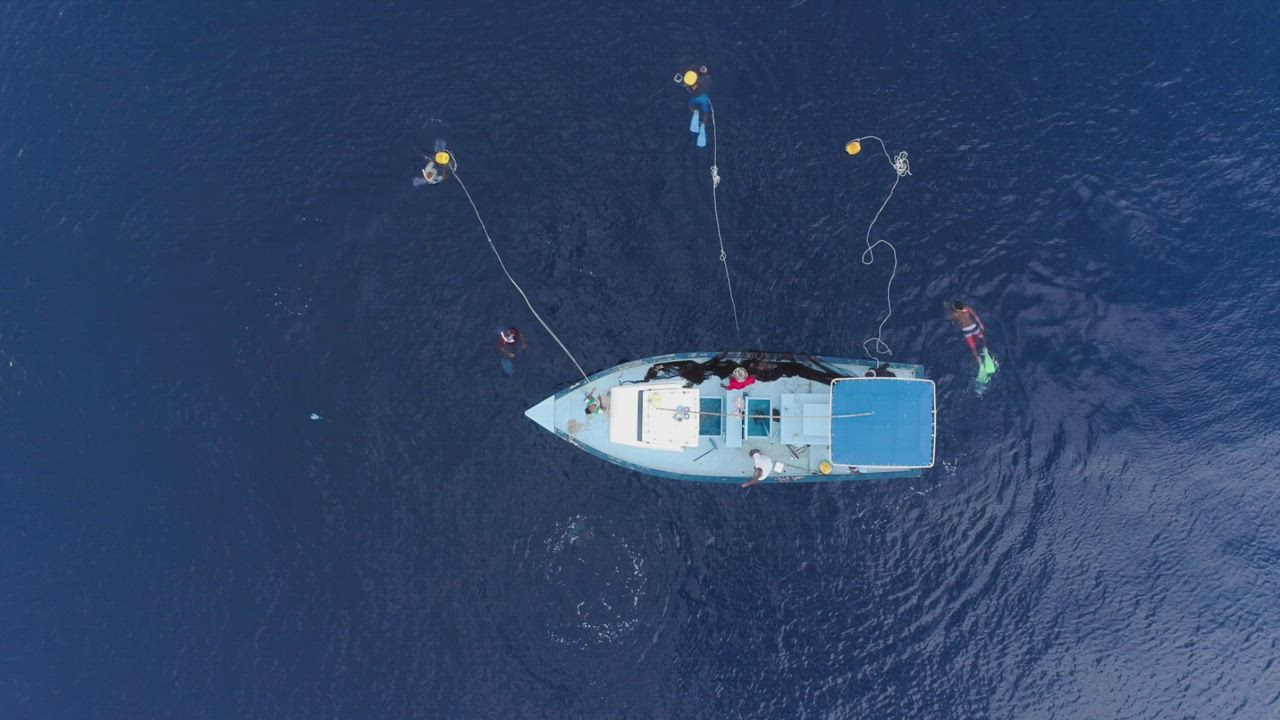 Boat in deep blue water - Free Stock Video