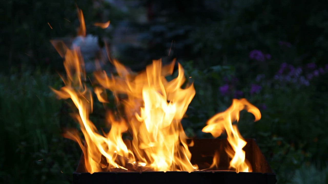 Fire burning in a garden - Free Stock Video
