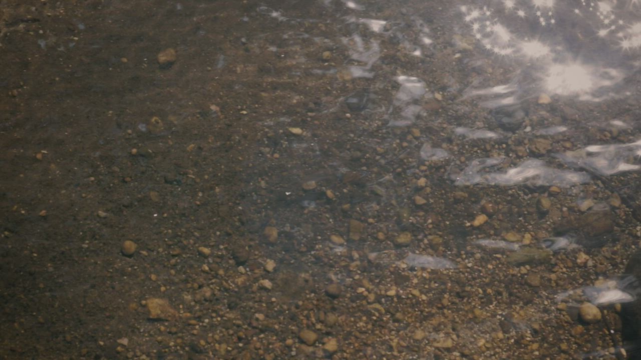 Sunlight reflected in a river - Free Stock Video