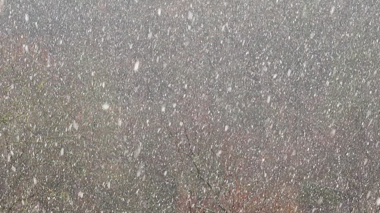 Heavy snow falling across the landscape - Free Stock Video