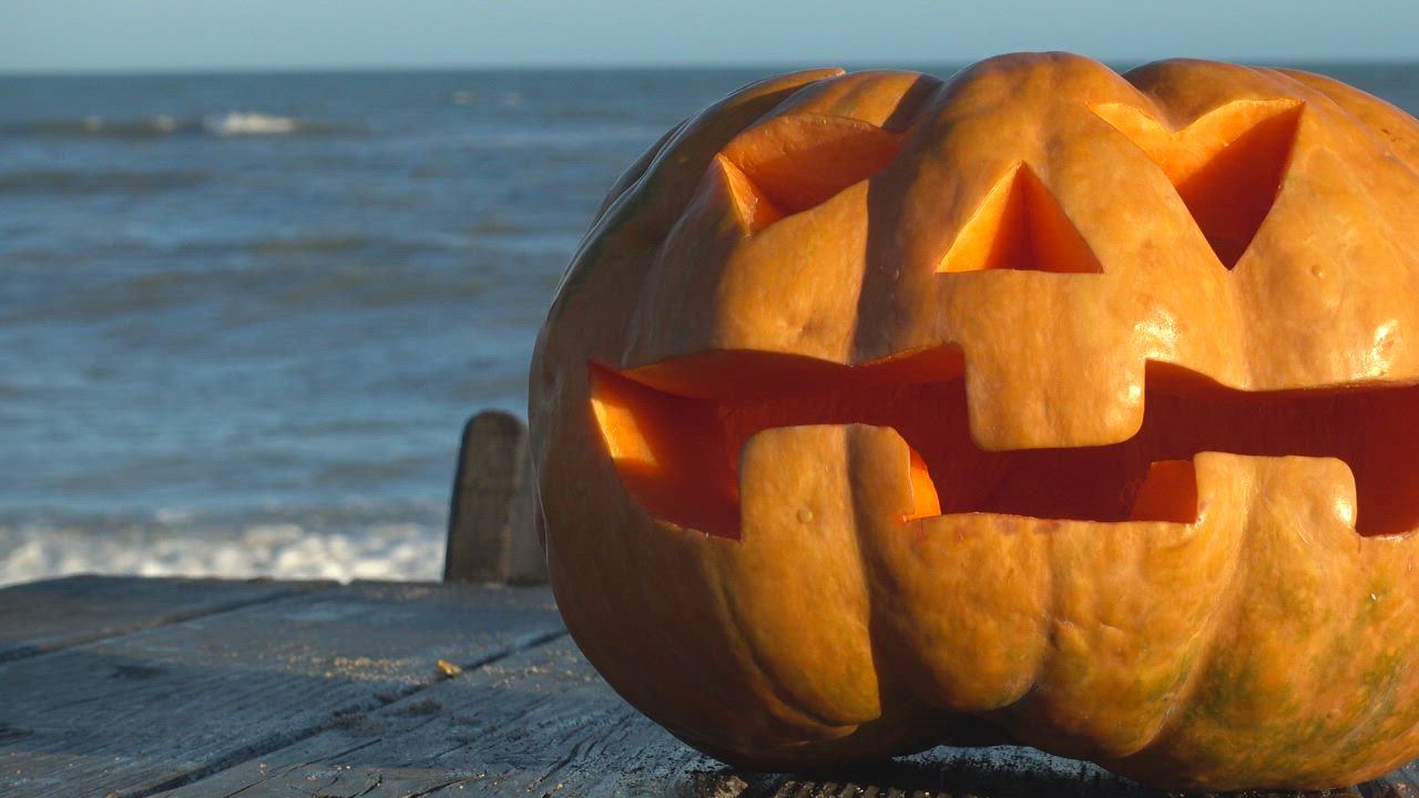 Carved Halloween pumpkin - Free Stock Video