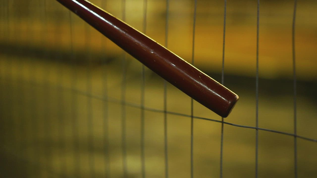 Baseball bat on a wire fence - Free Stock Video