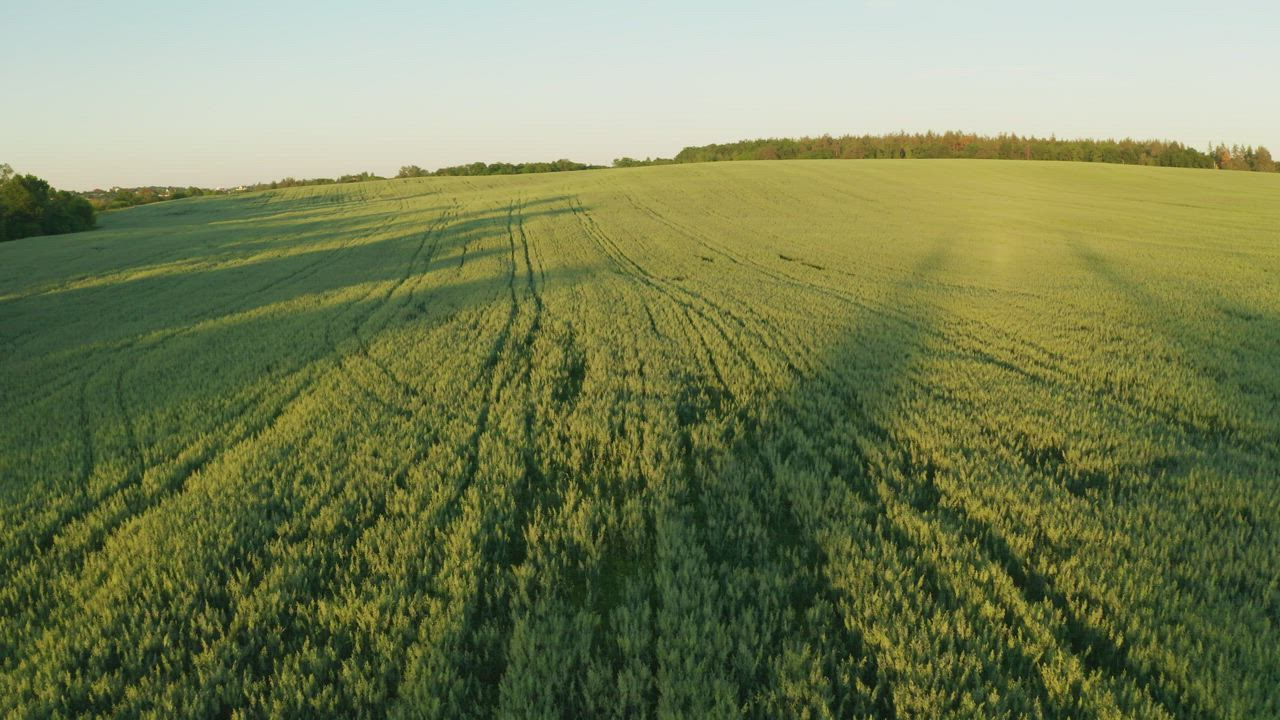 Flying over a green field - Free Stock Video