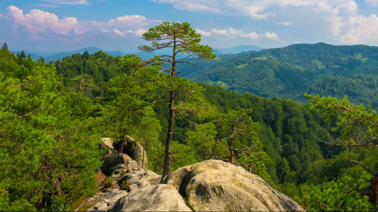Mountain landscape with a big stone - Free Stock Video