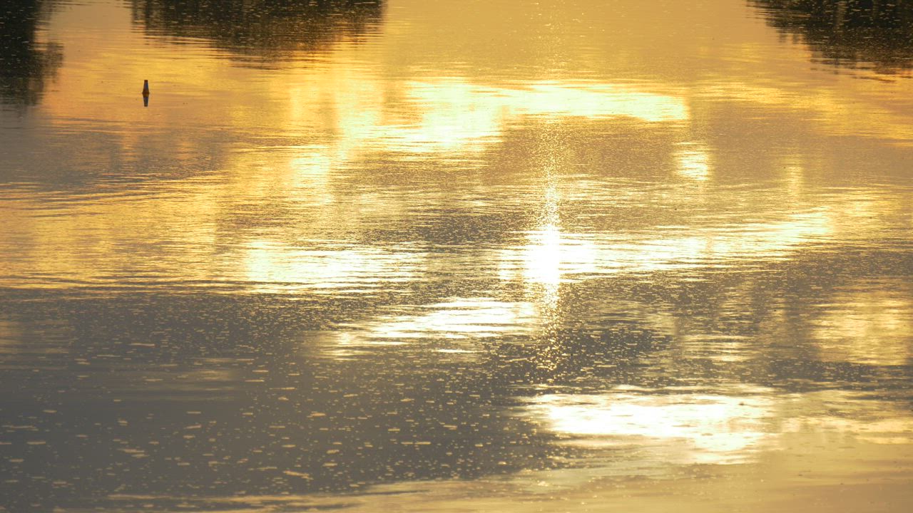 Water with yellow sunset reflection - Free Stock Video