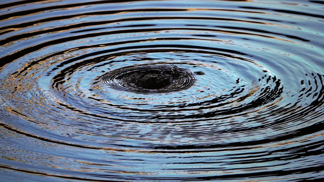 Drops of water in the pond - Free Stock Video