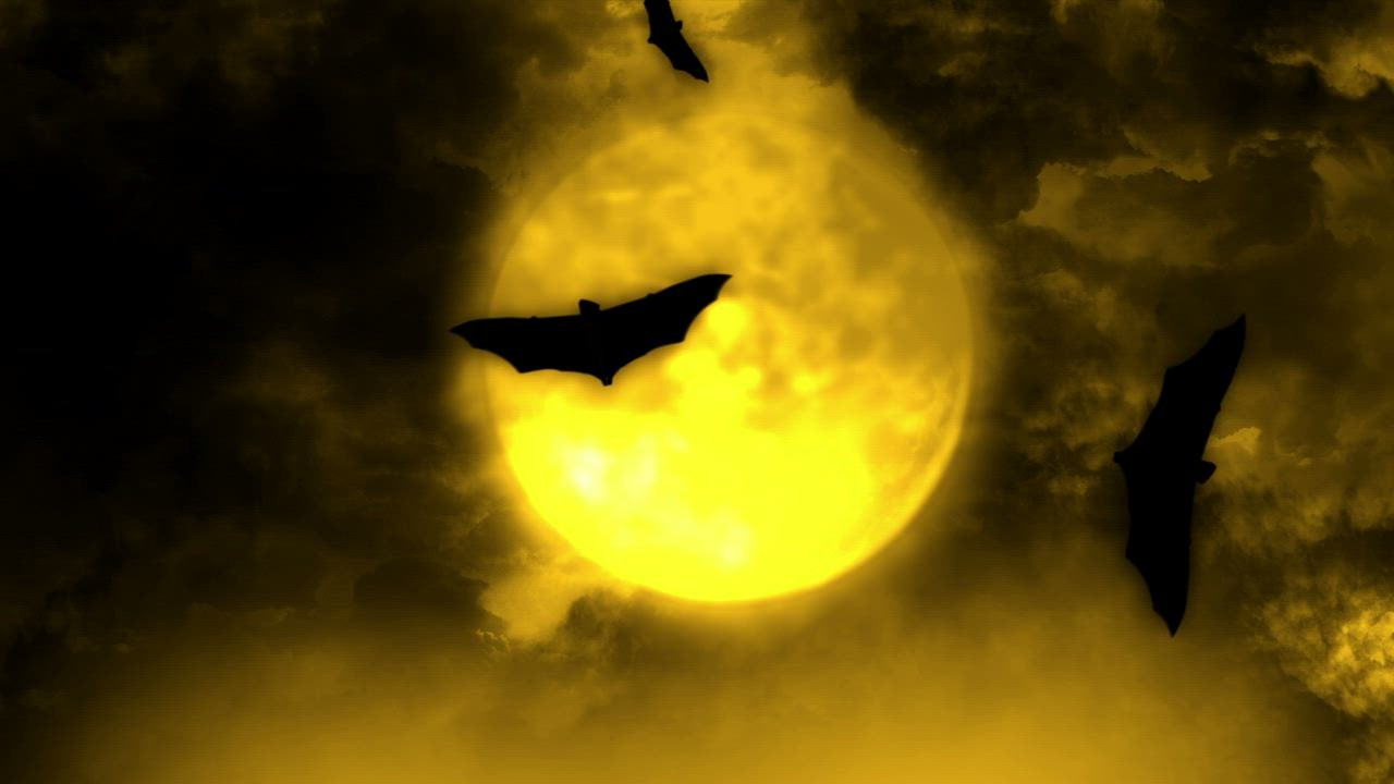 Bats flying in the light of the full moon - Free Stock Video