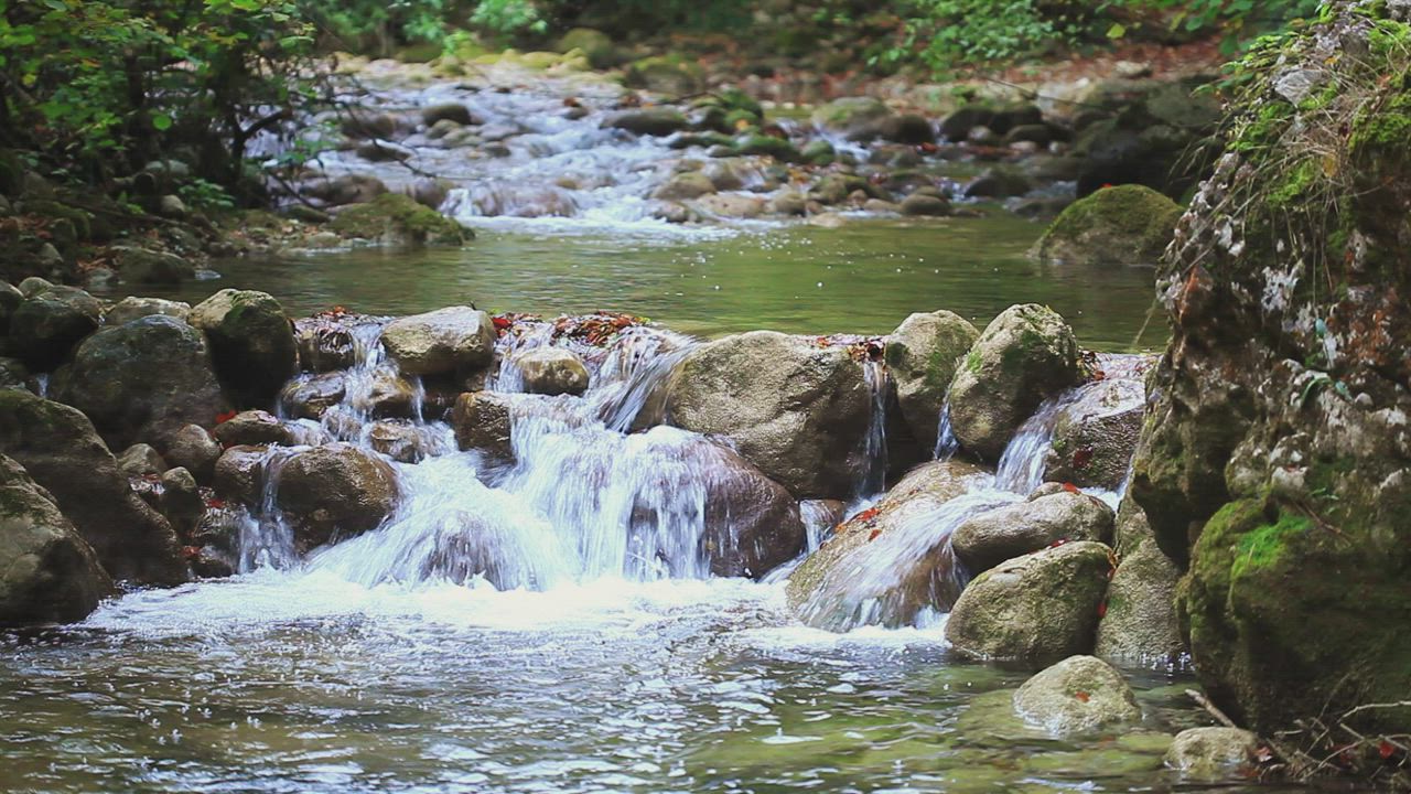Little rocky river in the woods - Free Stock Video