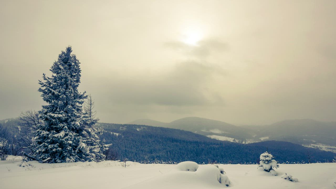 Snowstorm and fog, time-lapse - Free Stock Video