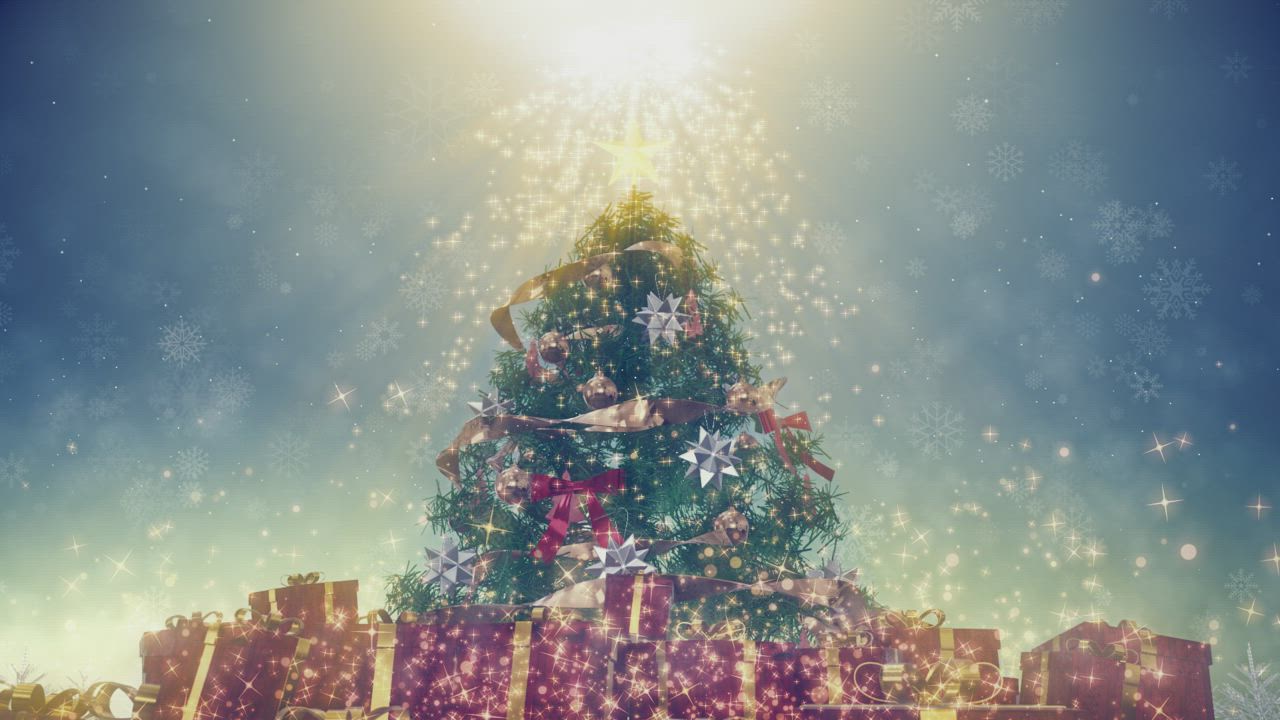 Christmas tree with a very bright star - Free Stock Video