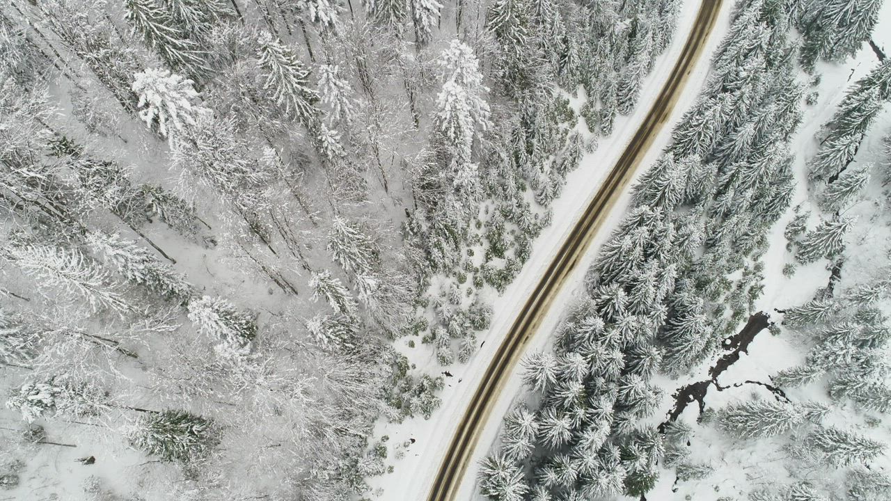 Highway crossing a winter forest - Free Stock Video