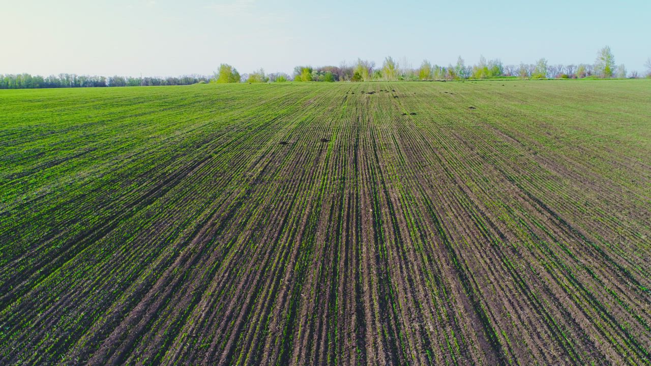Fields of crops in the countryside - Free Stock Video