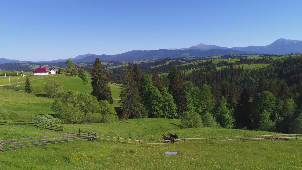 Prairie view of a ranch with horses - Free Stock Video