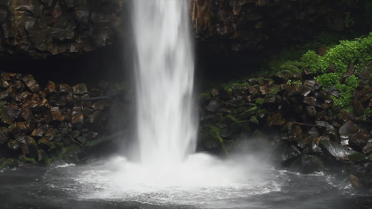 Base of a forest waterfall - Free Stock Video