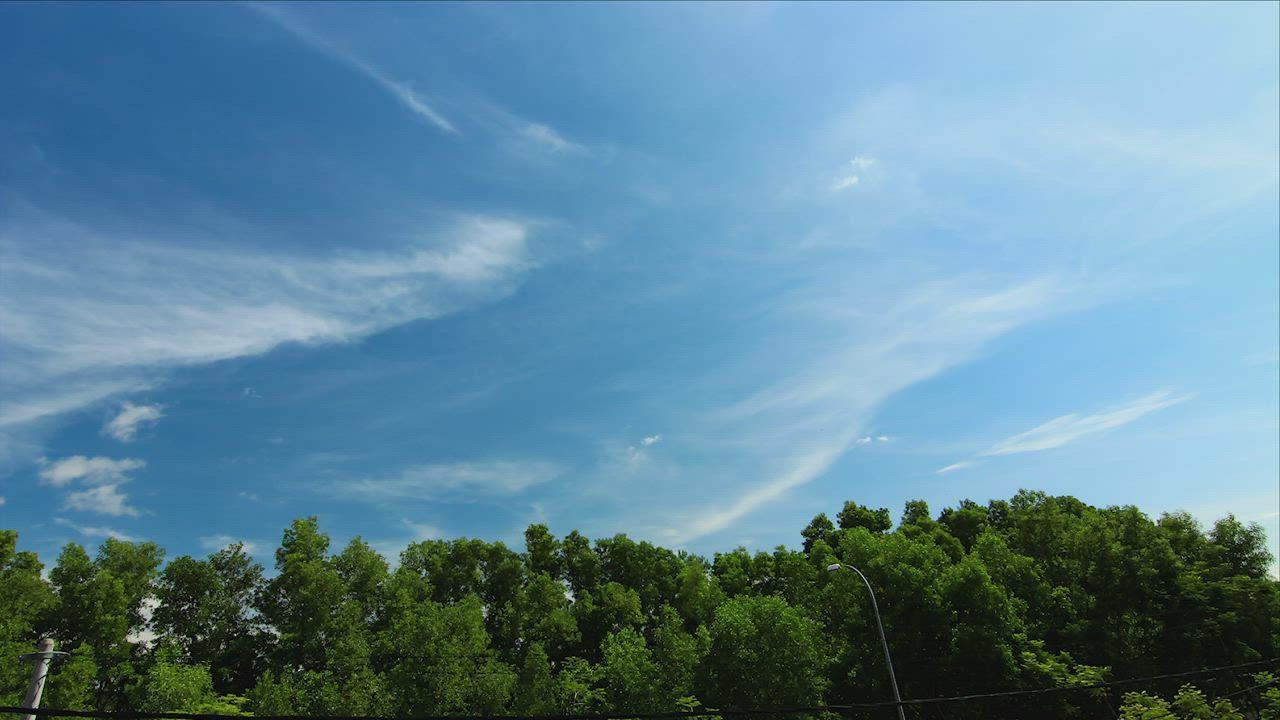 Clouds over the tops of trees - Free Stock Video