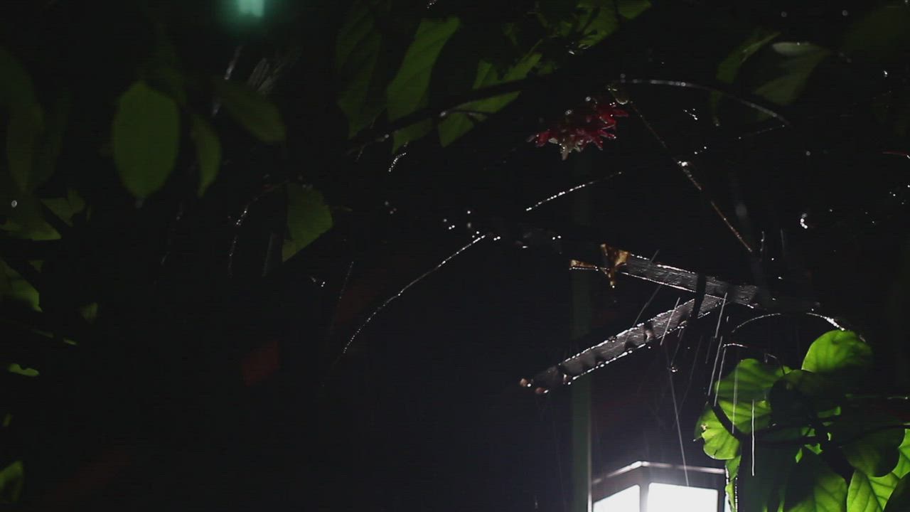Rain falling during the night - Free Stock Video