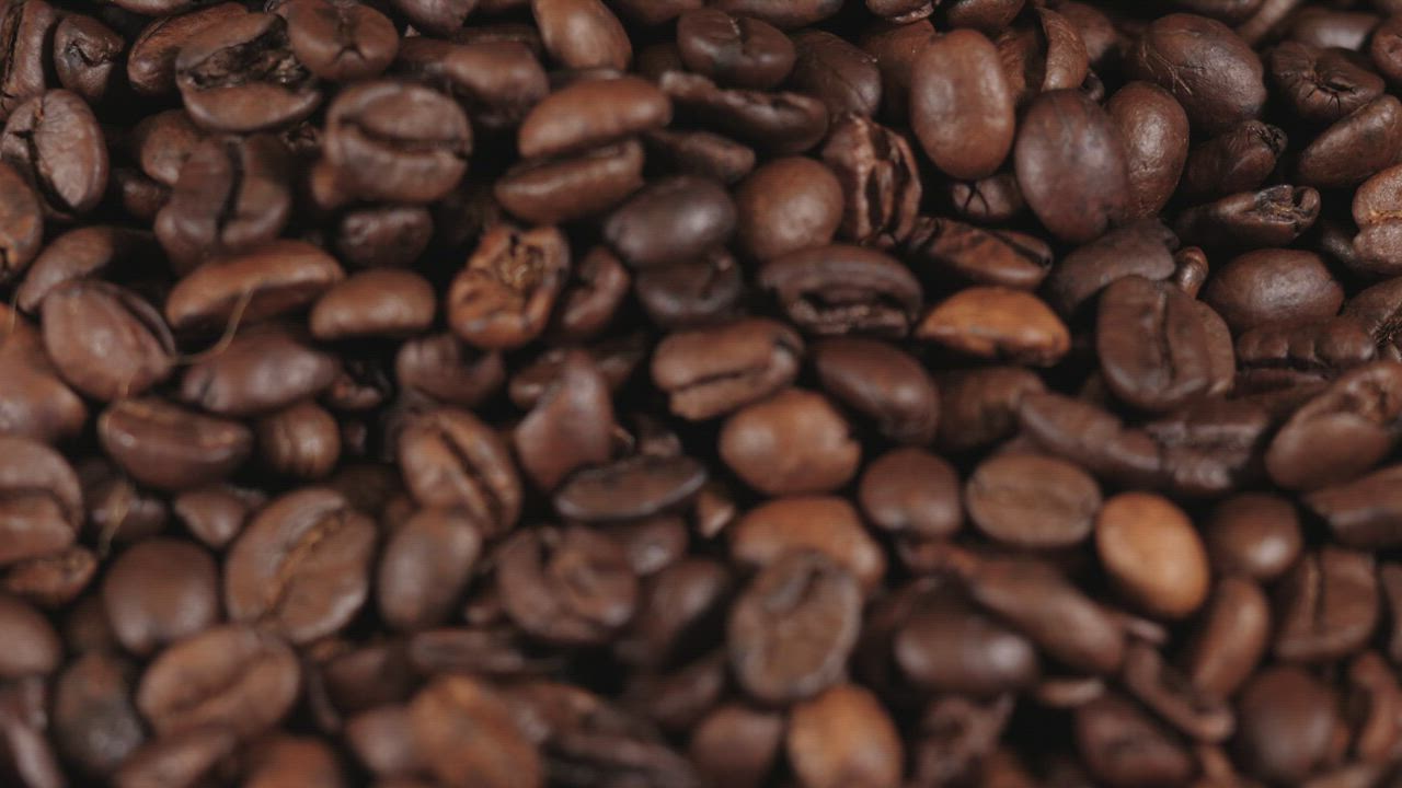 Coffee beans falling in reverse - Free Stock Video